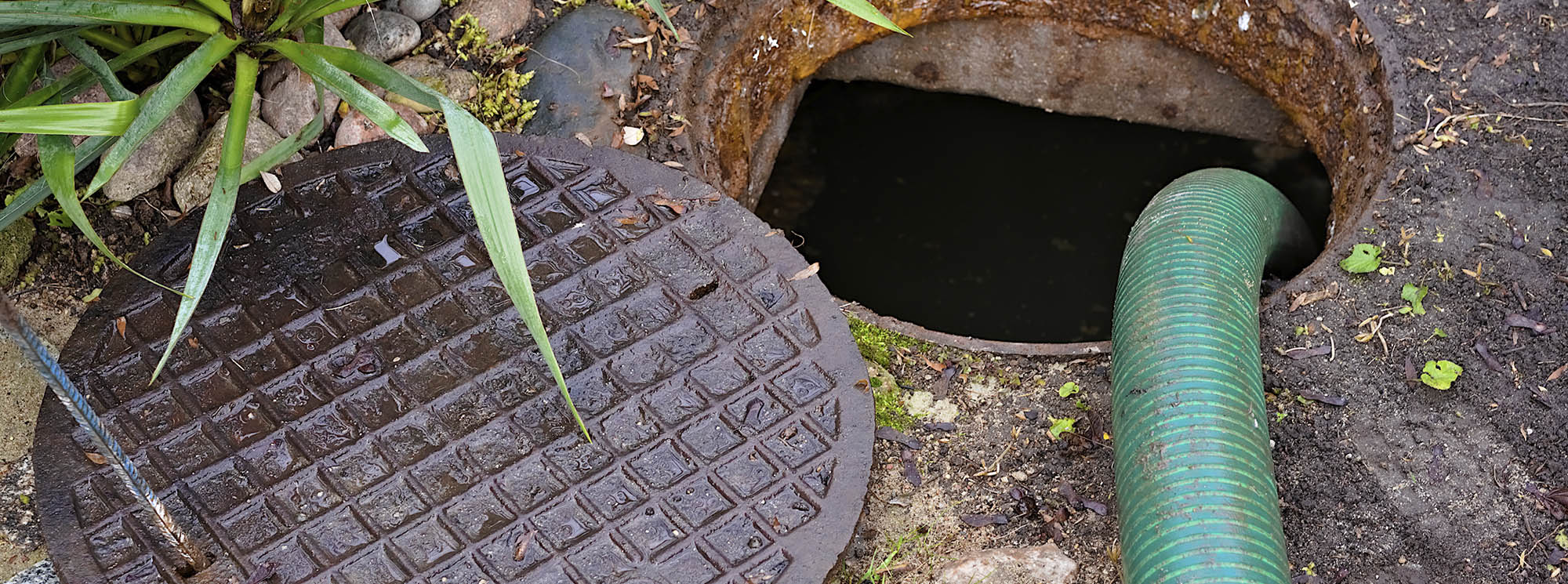 Signs You Need Septic Tank Repair | Dahl House Interiors