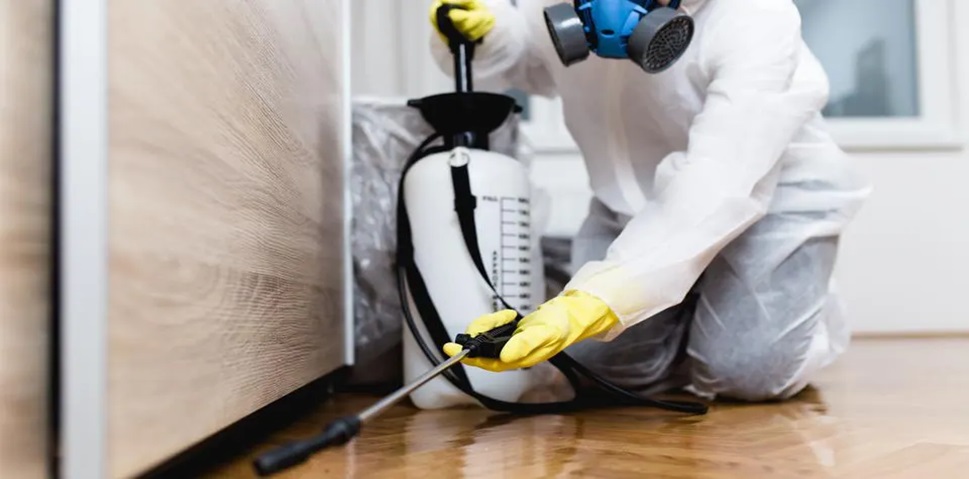 Home Maintenance Checklist: Preventative Measures to Keep Your Property ...